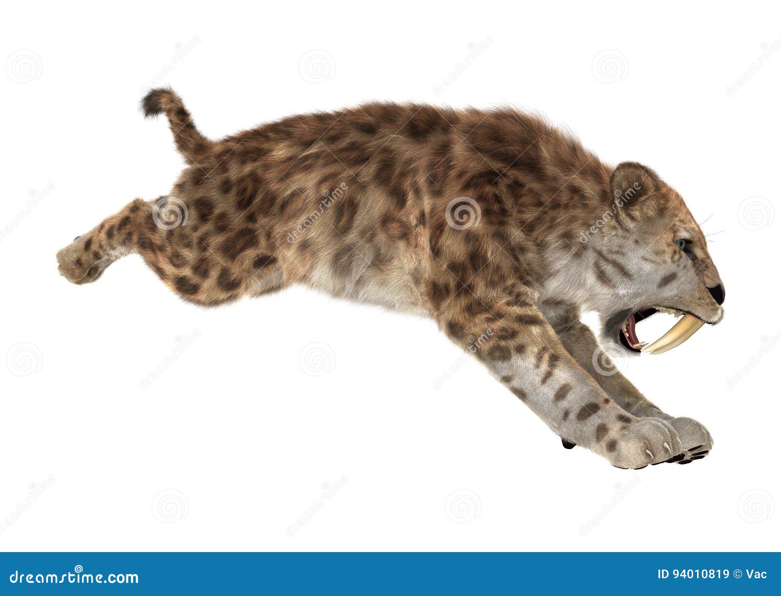 3D Rendering Saber Tooth Tiger on White Stock Illustration ...