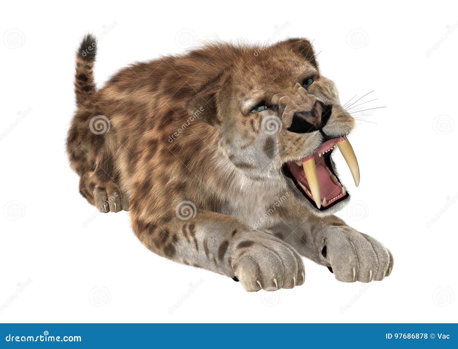3D Rendering Saber Tooth Tiger On White Stock Photography ...