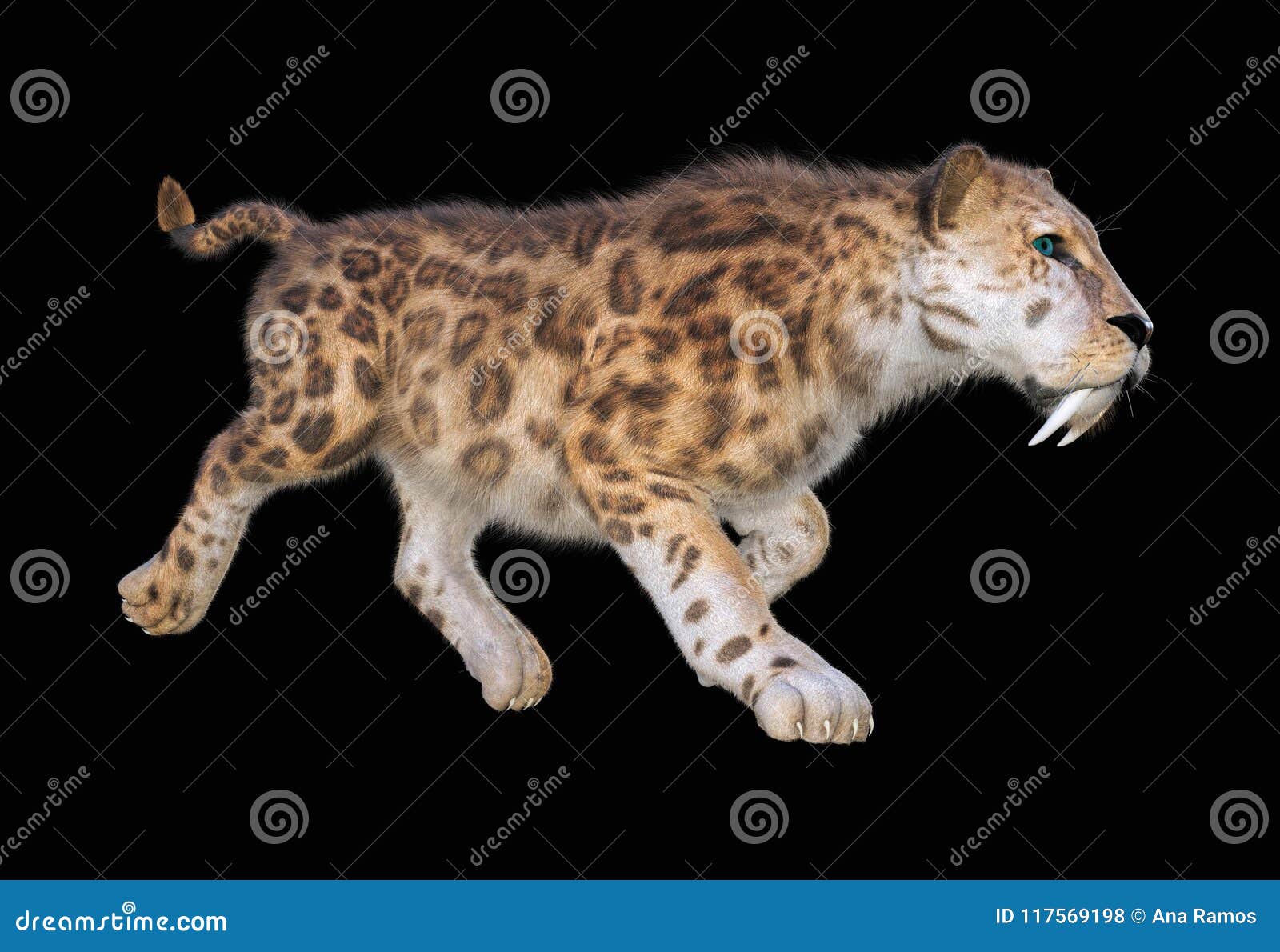 Sabertooth Tiger Stock Photography | CartoonDealer.com #117569198