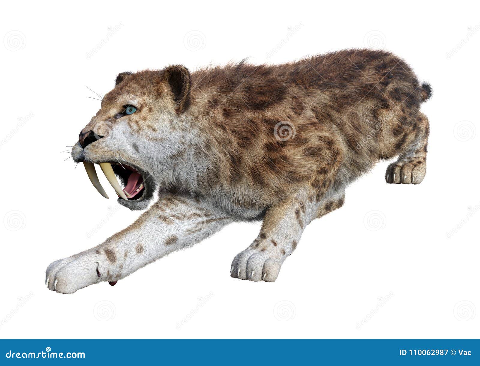 3D Rendering Sabertooth Tiger on White Stock Illustration ...