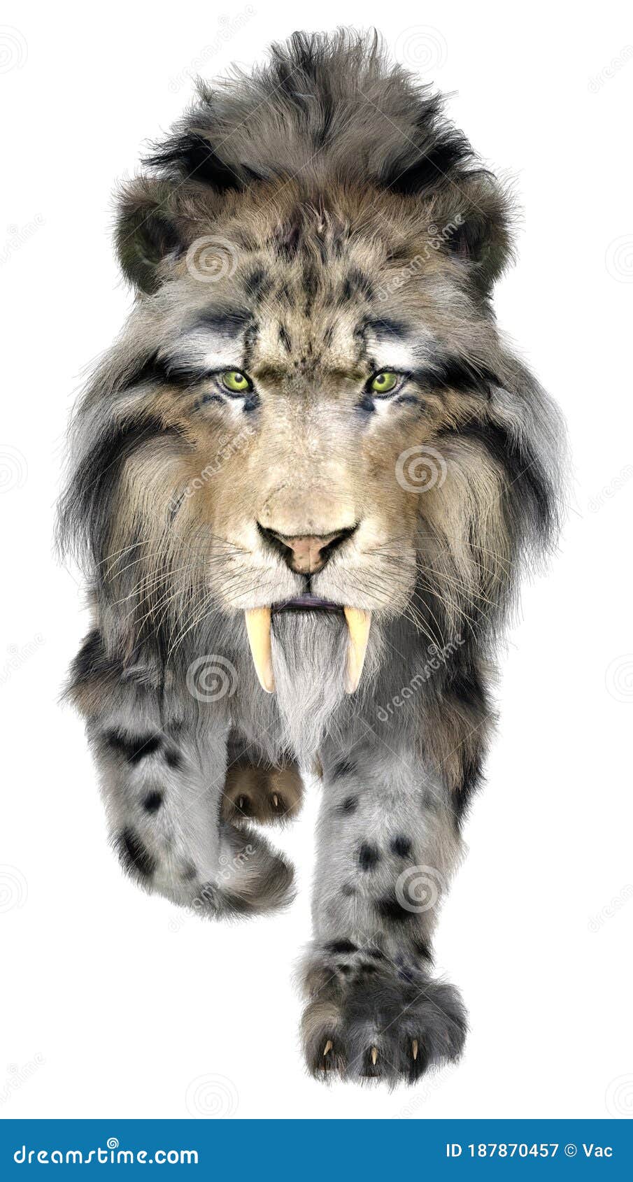 3D Rendering Sabertooth Tiger on White Stock Illustration ...