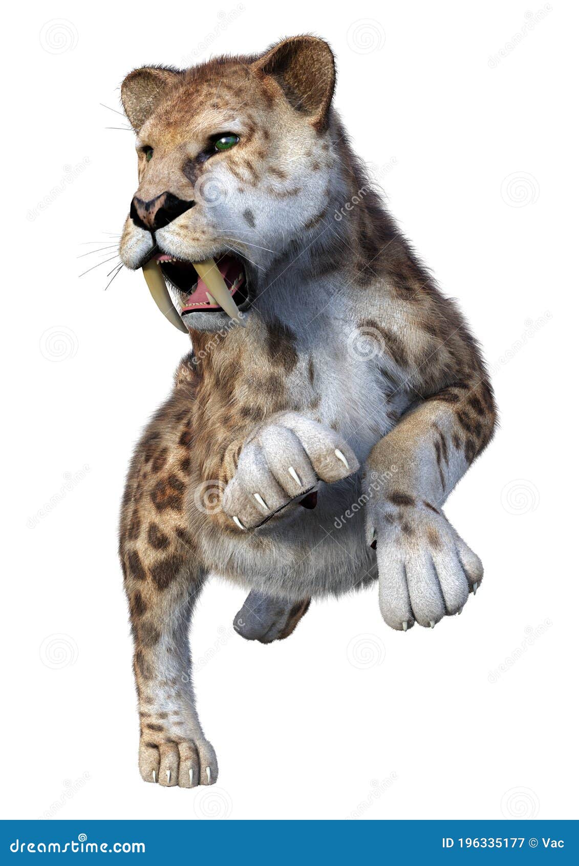 3D Rendering Sabertooth Tiger on White Stock Illustration ...