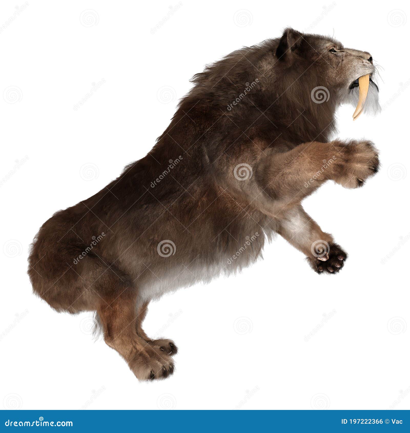 3D Rendering Sabertooth Tiger on White Stock Illustration ...