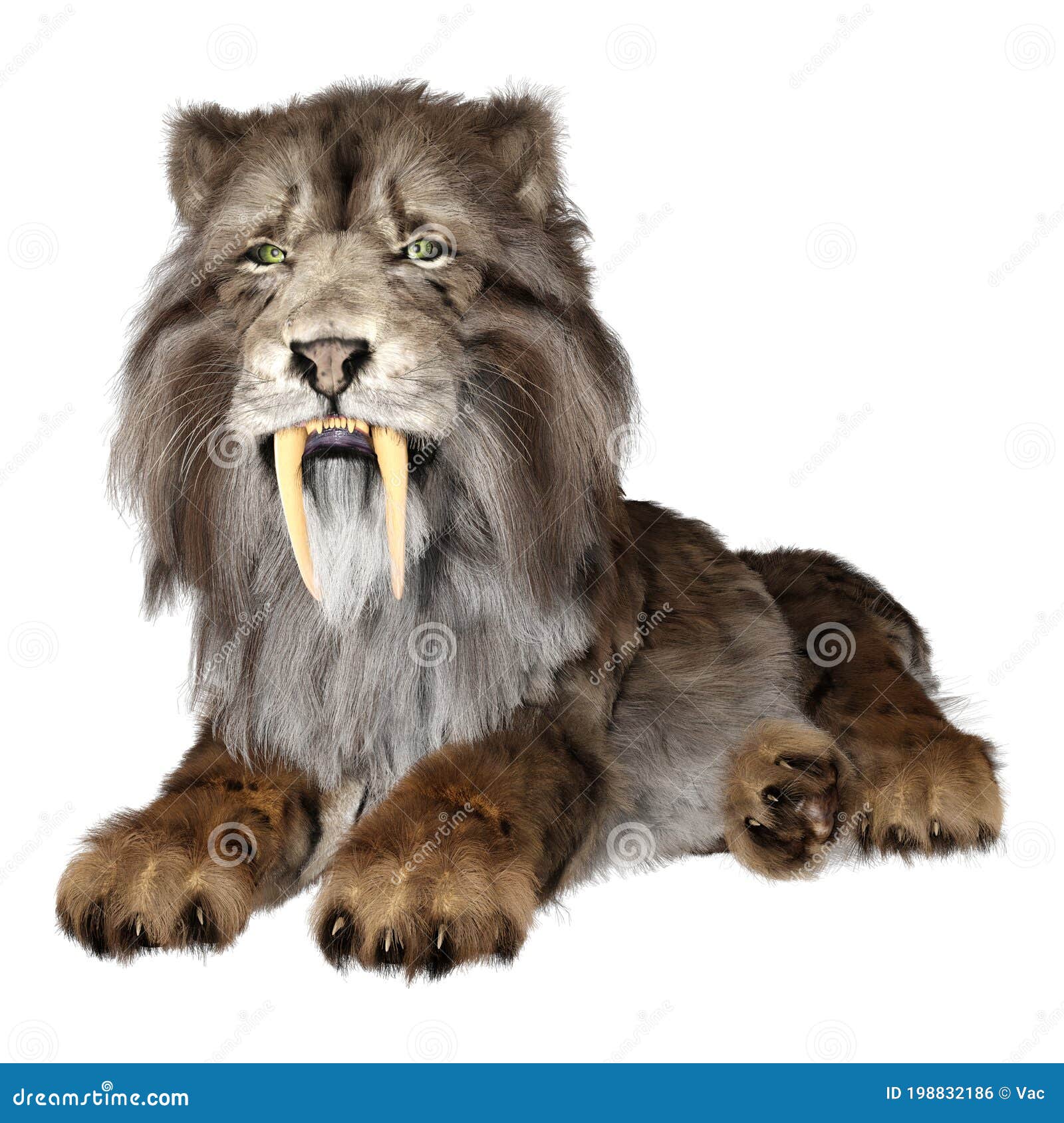 3D Rendering Sabertooth Tiger on White Stock Illustration ...