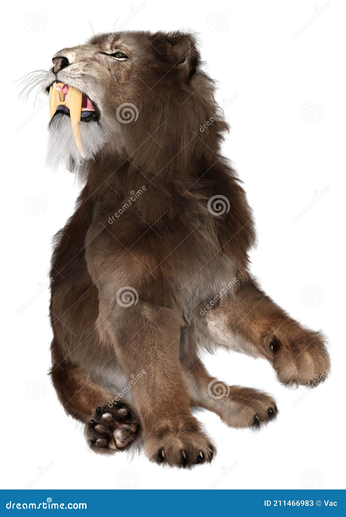 3D Rendering Sabertooth Tiger on White Stock Illustration ...