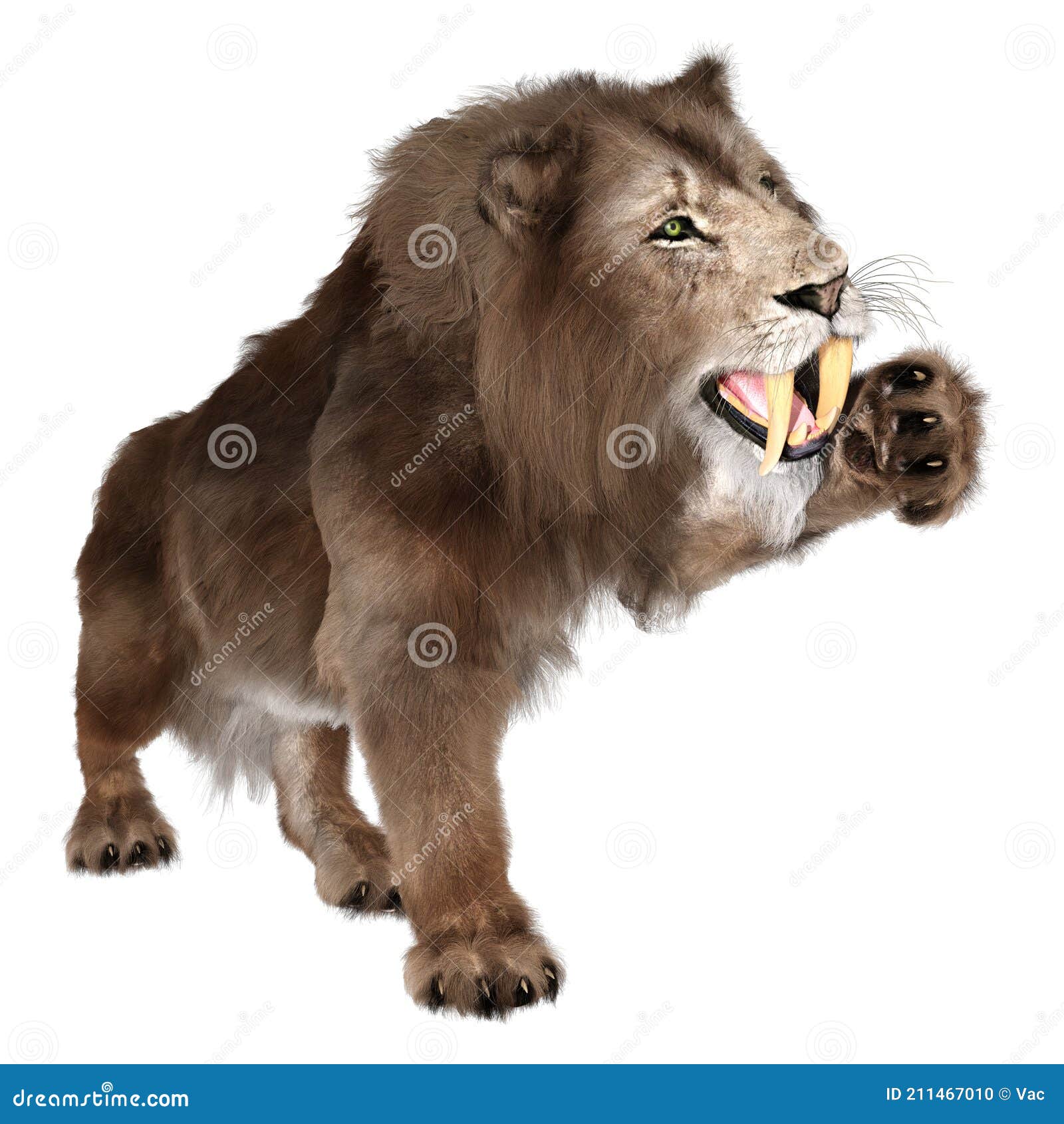 3D Rendering Sabertooth Tiger on White Stock Illustration ...