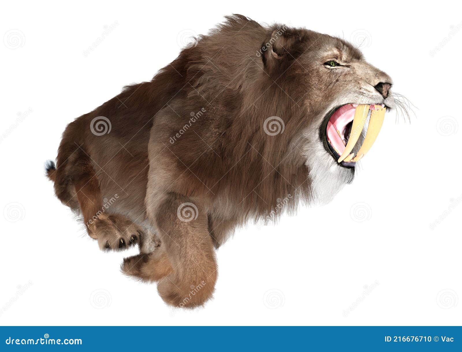 3D Rendering Sabertooth Tiger on White Stock Illustration ...