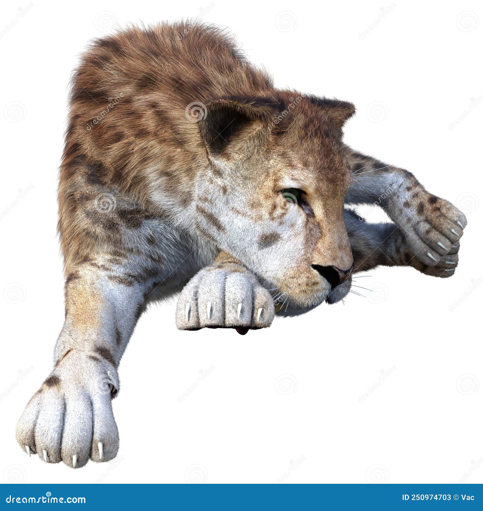 3D Rendering Sabertooth Tiger on White Stock Illustration ...
