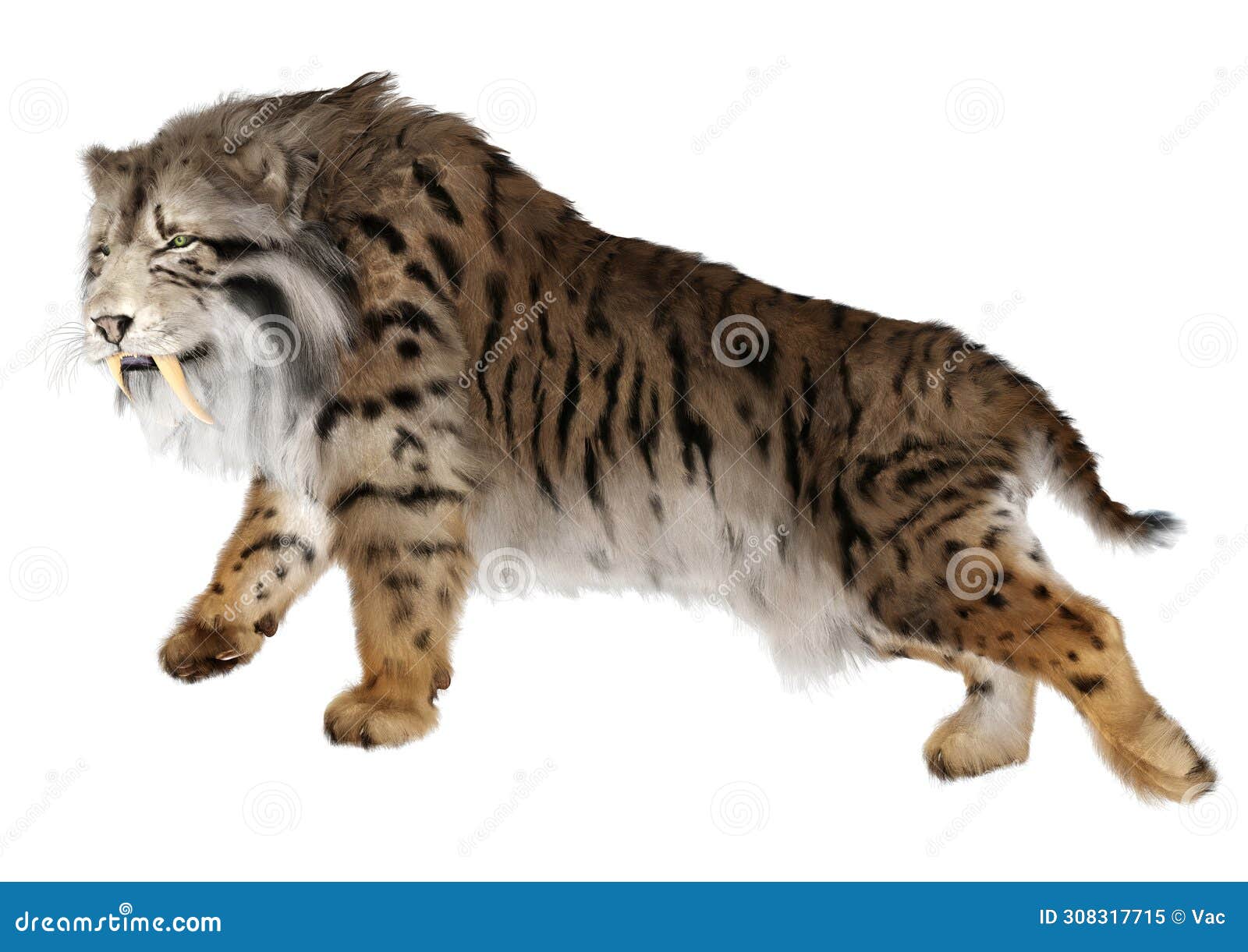 3D Rendering Sabertooth Tiger on White Stock Illustration ...