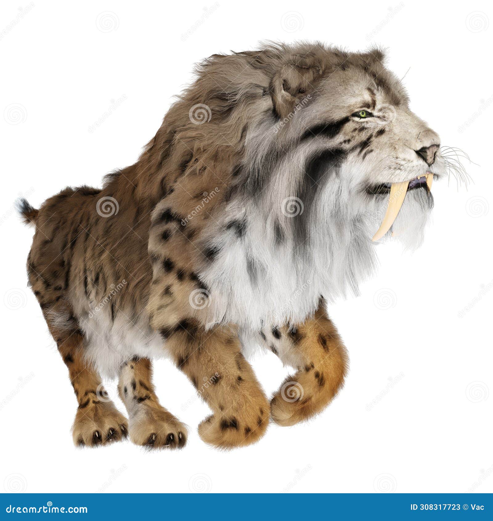 3D Rendering Sabertooth Tiger on White Stock Illustration ...