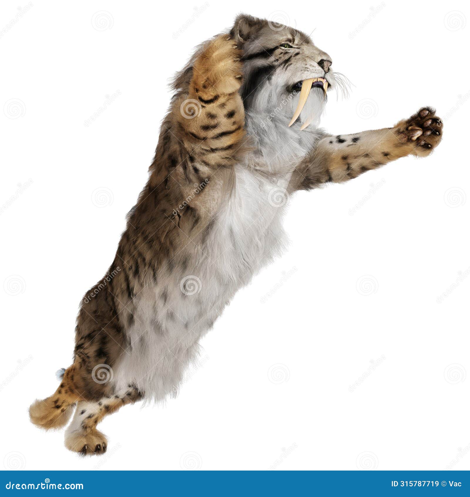 3D Rendering Sabertooth Tiger on White Stock Illustration ...