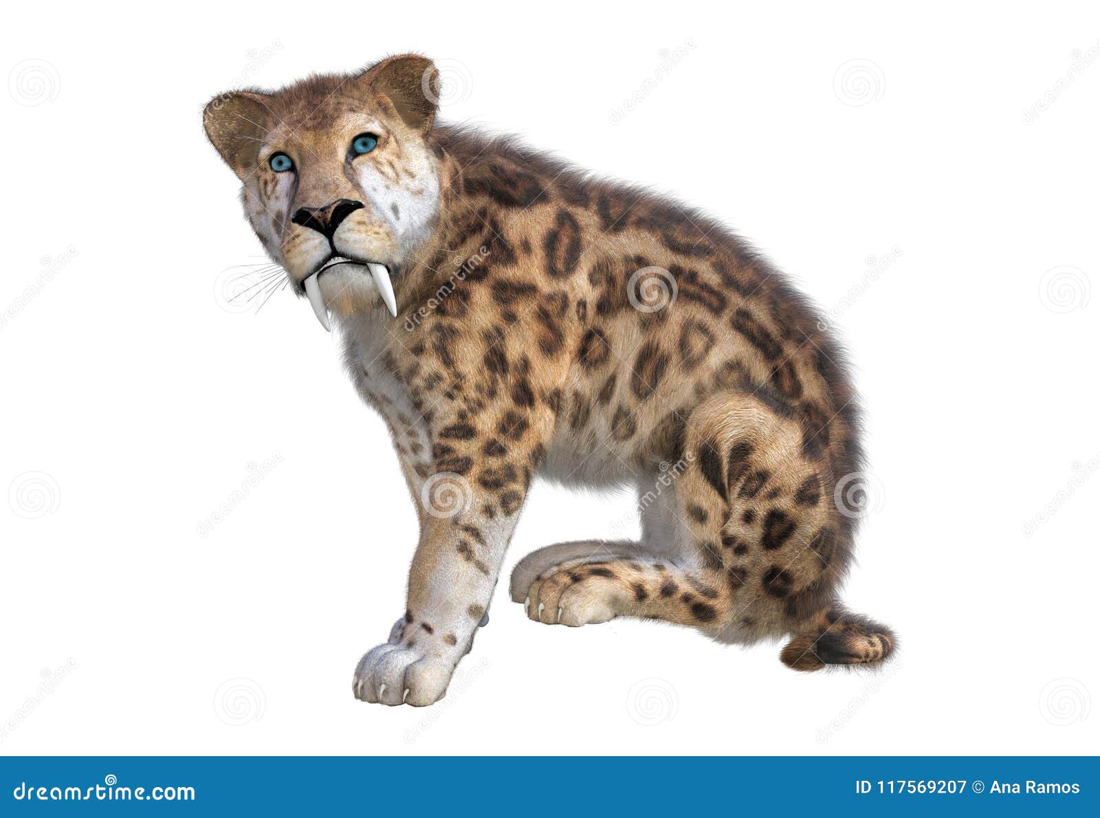 Sabertooth tiger stock illustration. Illustration of black - 117569207