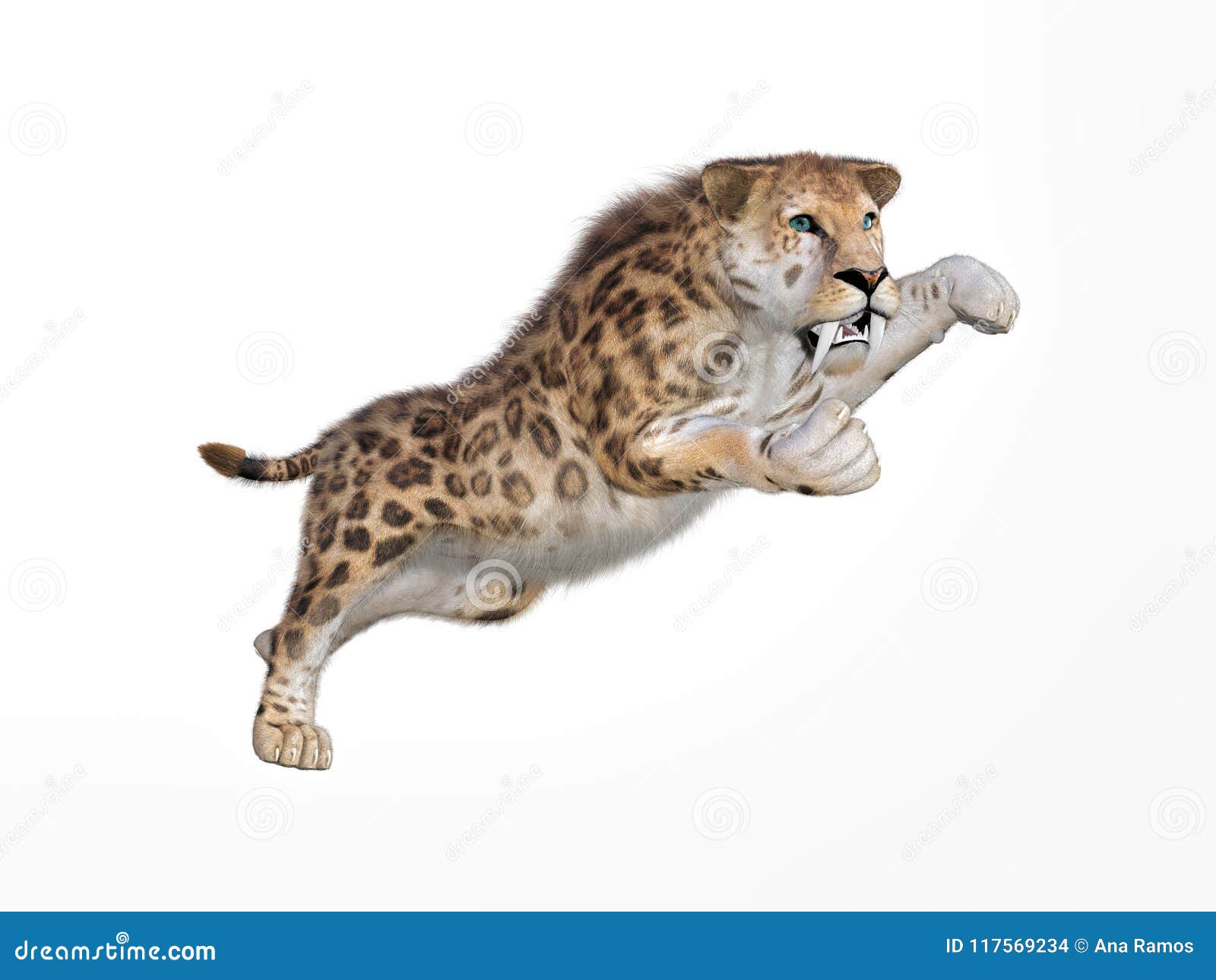 Sabertooth Tiger Smilodon, Lived 42 Million Years Ago - Extint 11,000 ...
