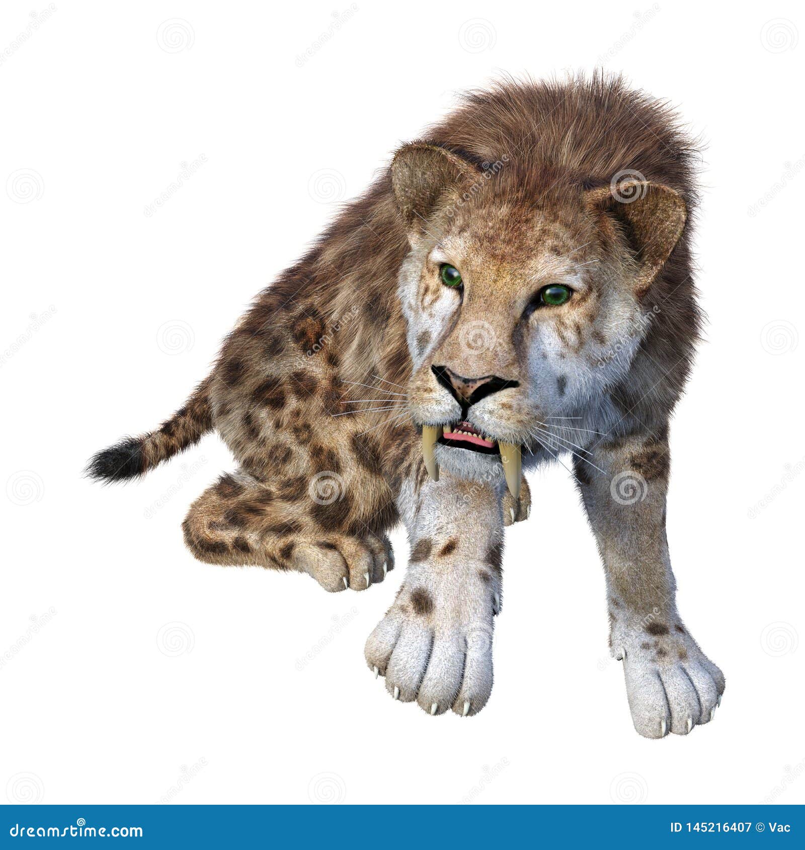 Sabertooth Tiger Portrait Watercolor Royalty-Free Stock Photography ...