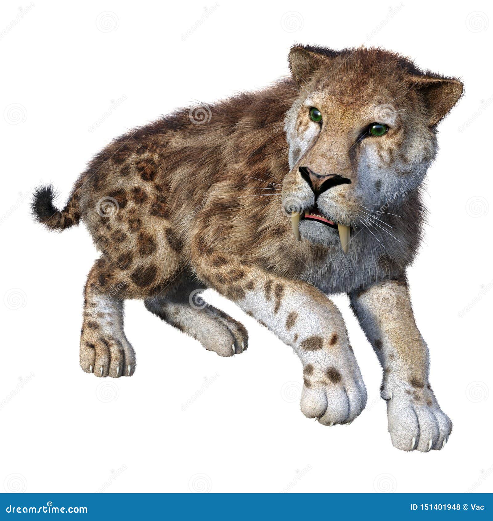 3D Rendering Sabertooth Tiger on White Stock Illustration ...