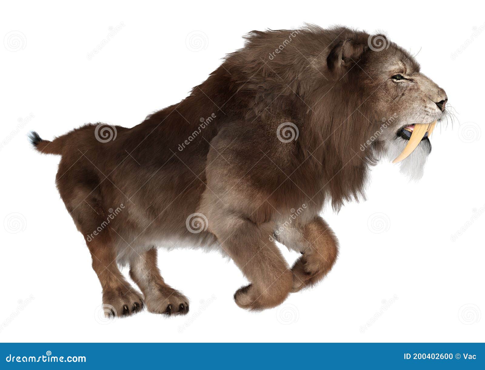 3D Rendering Sabertooth Tiger on White Stock Illustration ...