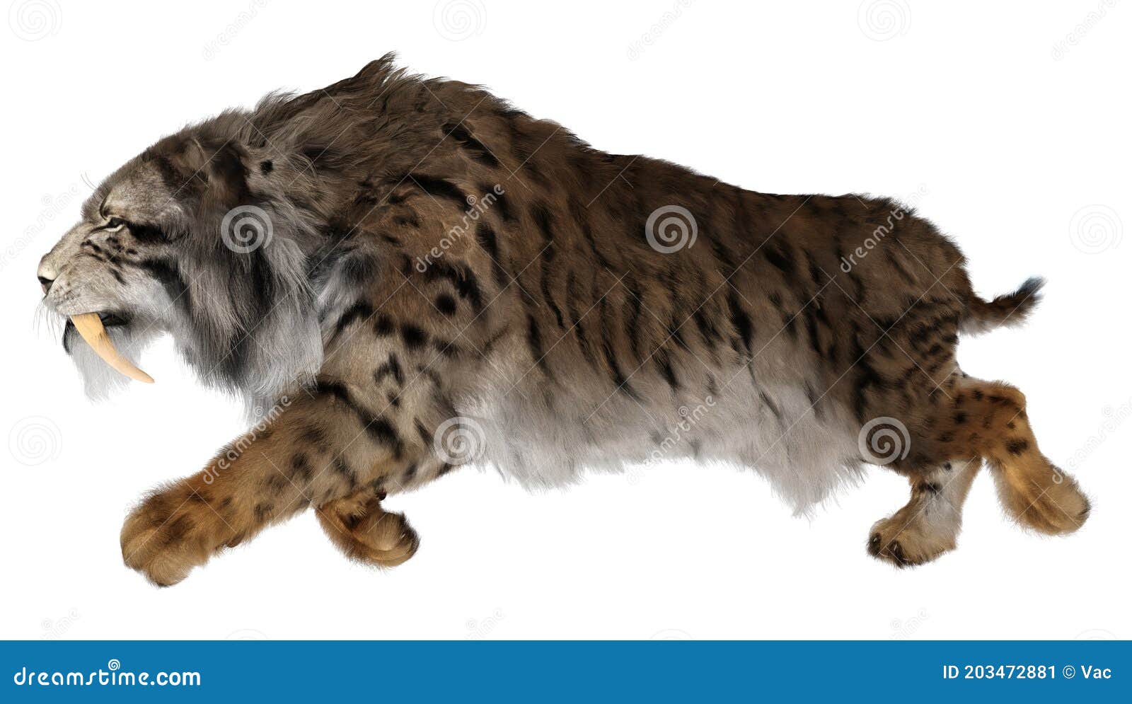 3D Rendering Sabertooth Tiger on White Stock Illustration ...