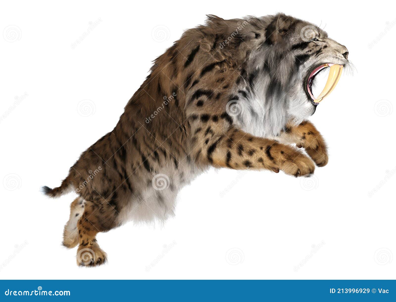 3D Rendering Sabertooth Tiger On White Stock Image | CartoonDealer.com ...