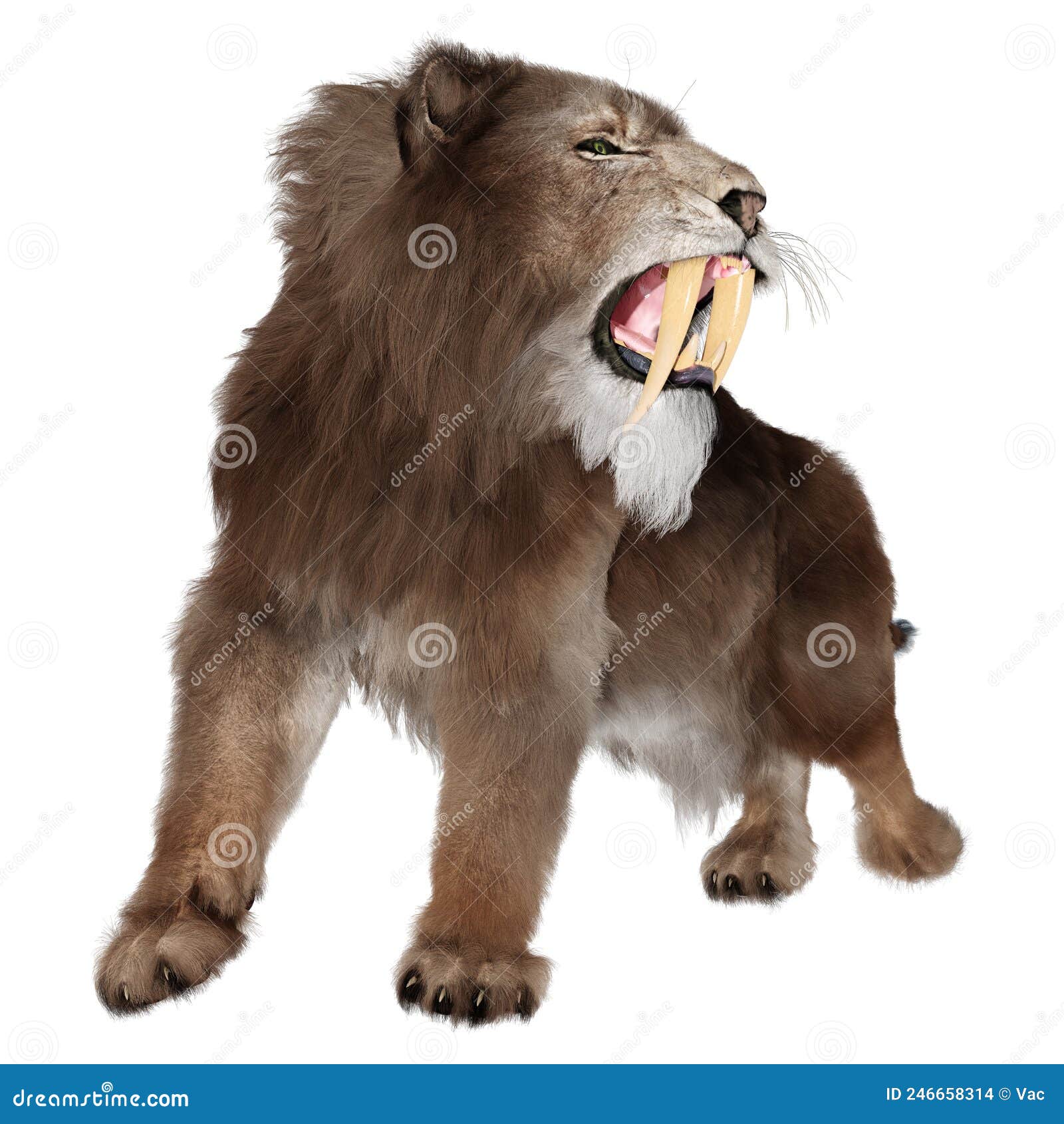 3D Rendering Sabertooth Tiger on White Stock Illustration ...