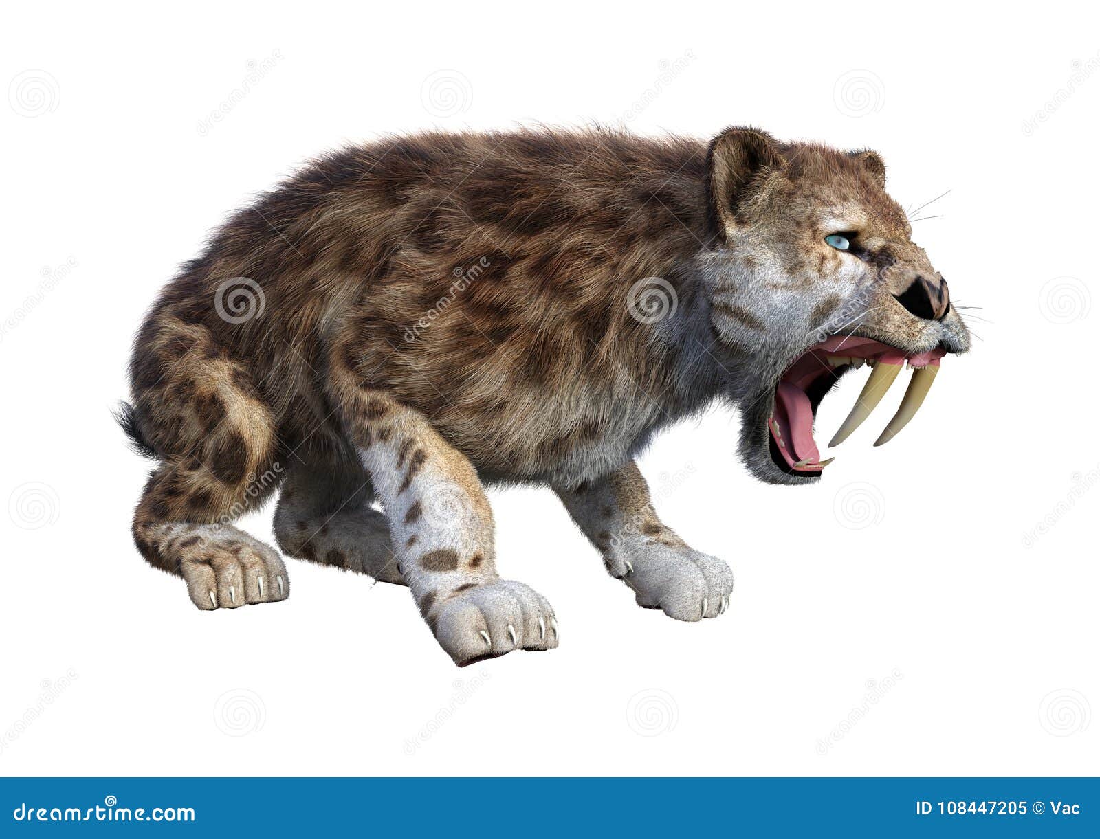 Sabertooth Tiger Stock Photography | CartoonDealer.com #117569198
