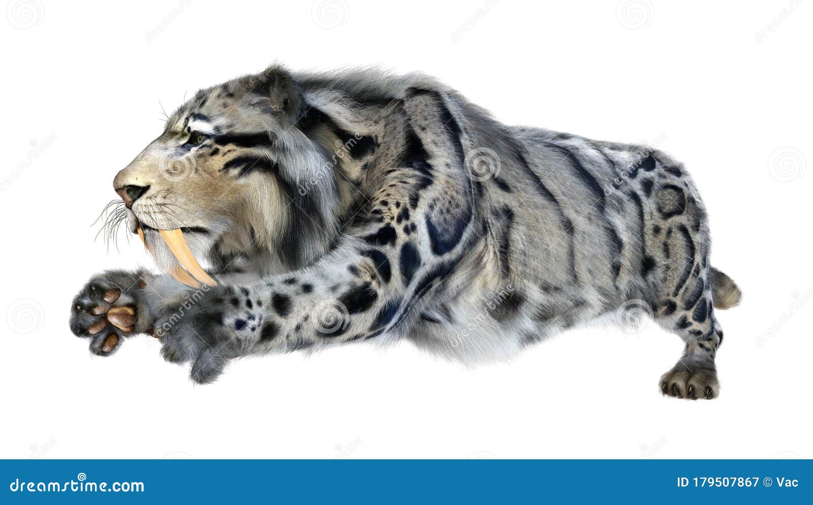 3D Rendering Sabertooth Tiger on White Stock Illustration ...