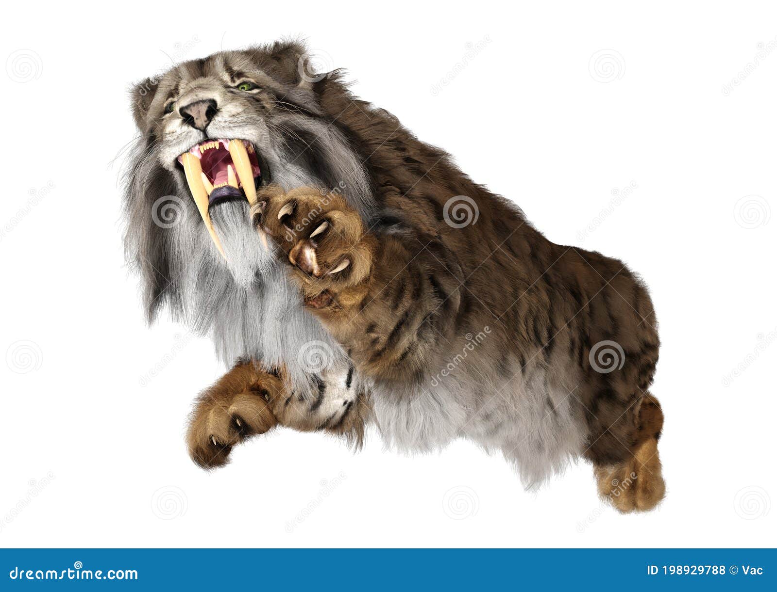 3D Rendering Sabertooth Tiger On White Royalty-Free Stock Image ...