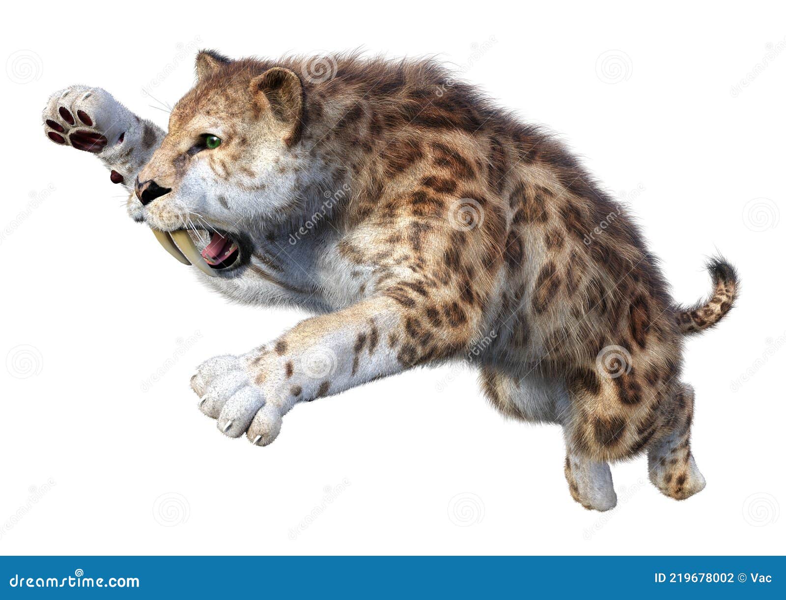 Sabertooth Tiger Head For Patch Design Or Sport Teams Logos Royalty ...