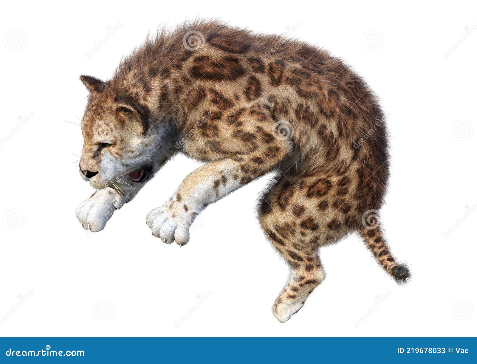 3D Rendering Sabertooth Tiger On White Stock Photo | CartoonDealer.com ...