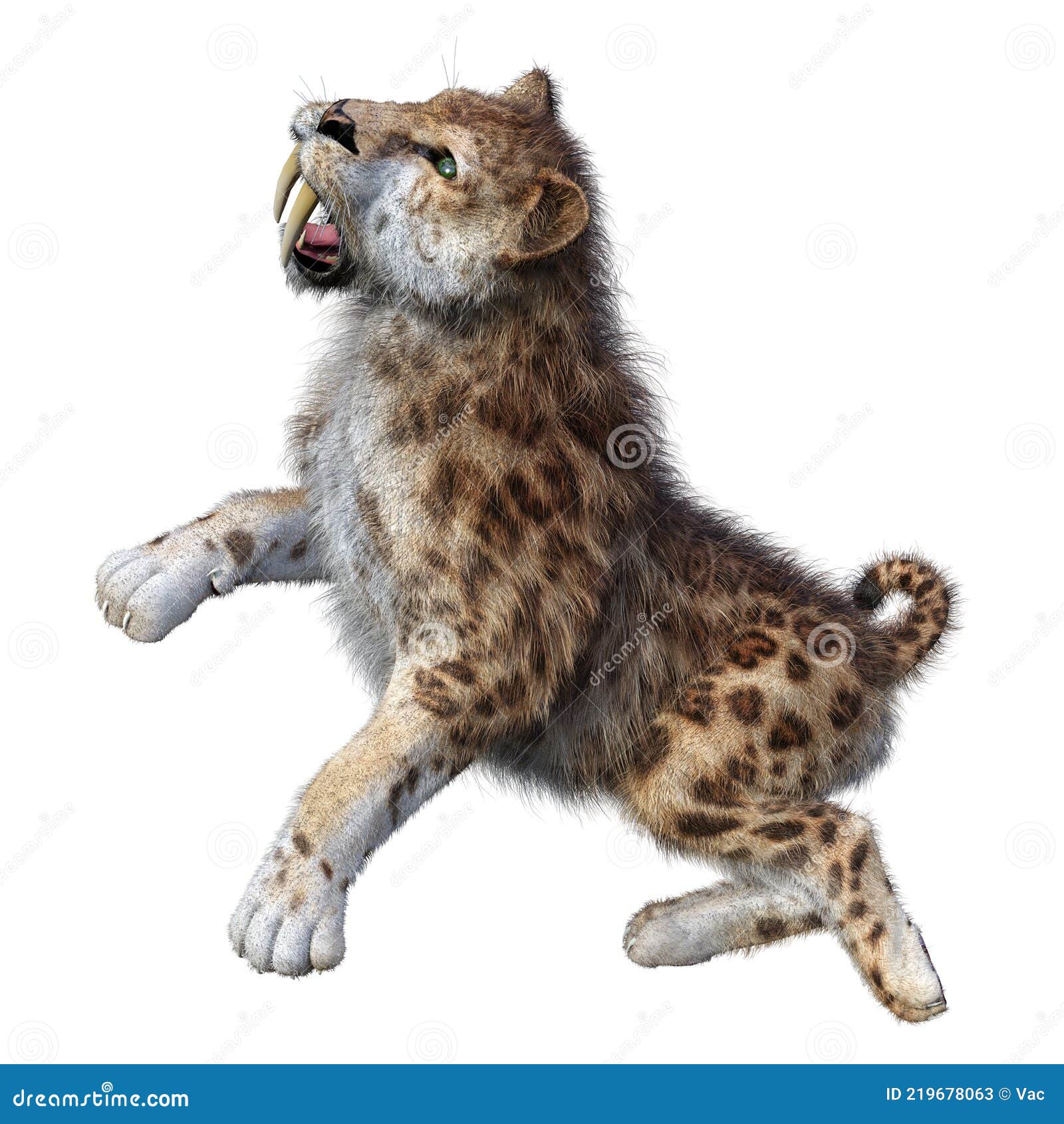 3D Rendering Sabertooth Tiger on White Stock Illustration ...