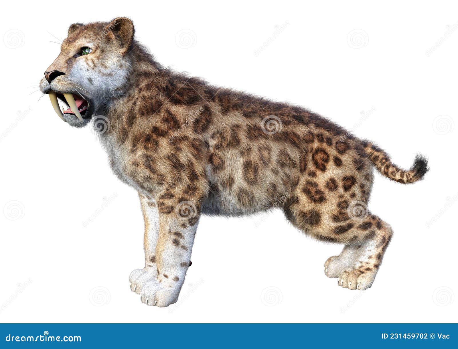 3D Rendering Sabertooth Tiger on White Stock Illustration ...