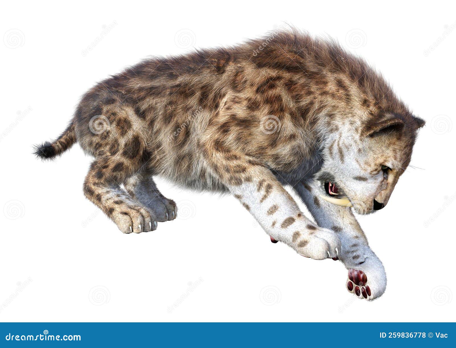 3D Rendering Sabertooth Tiger on White Stock Illustration ...