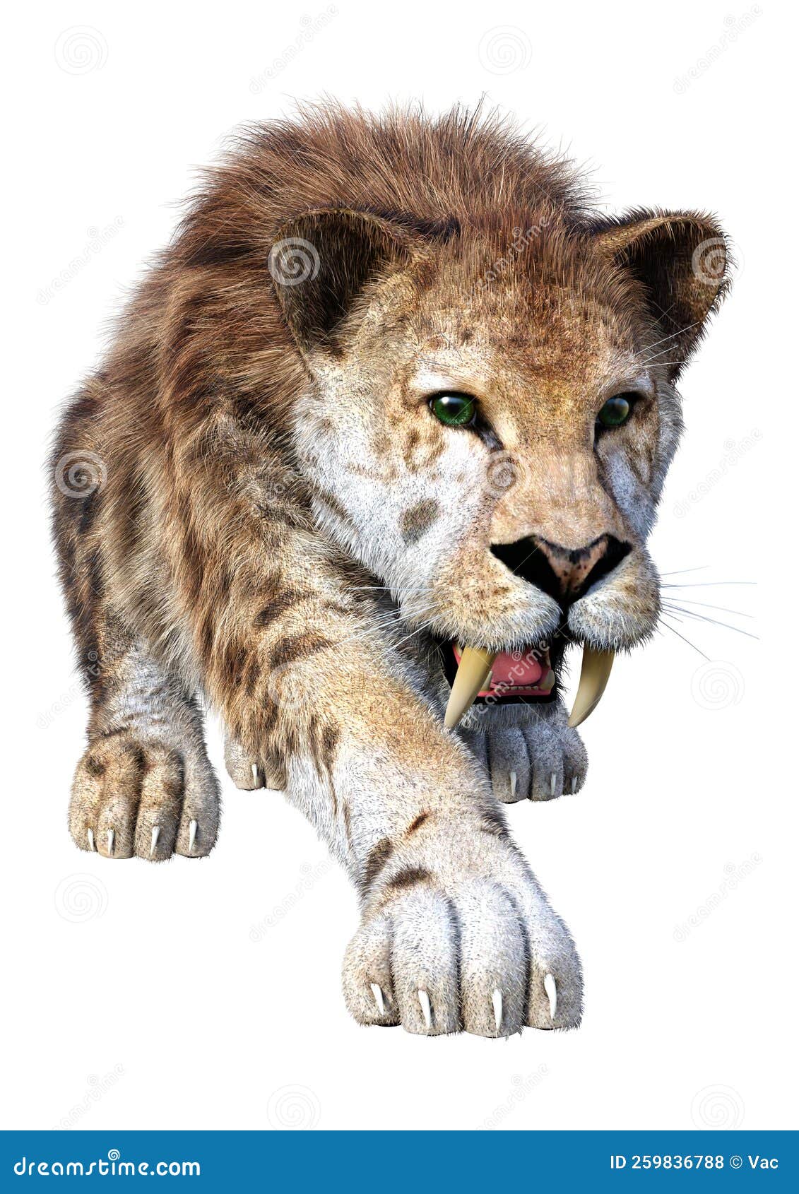 3D Rendering Sabertooth Tiger on White Stock Illustration ...