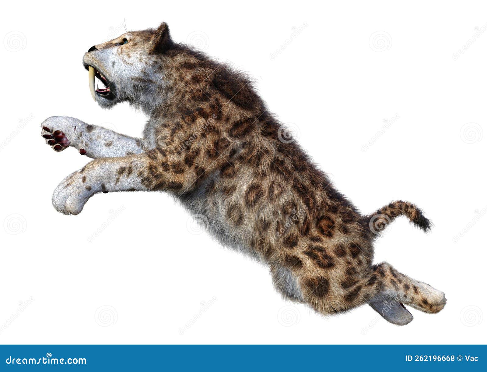 3D Rendering Sabertooth Tiger on White Stock Illustration ...