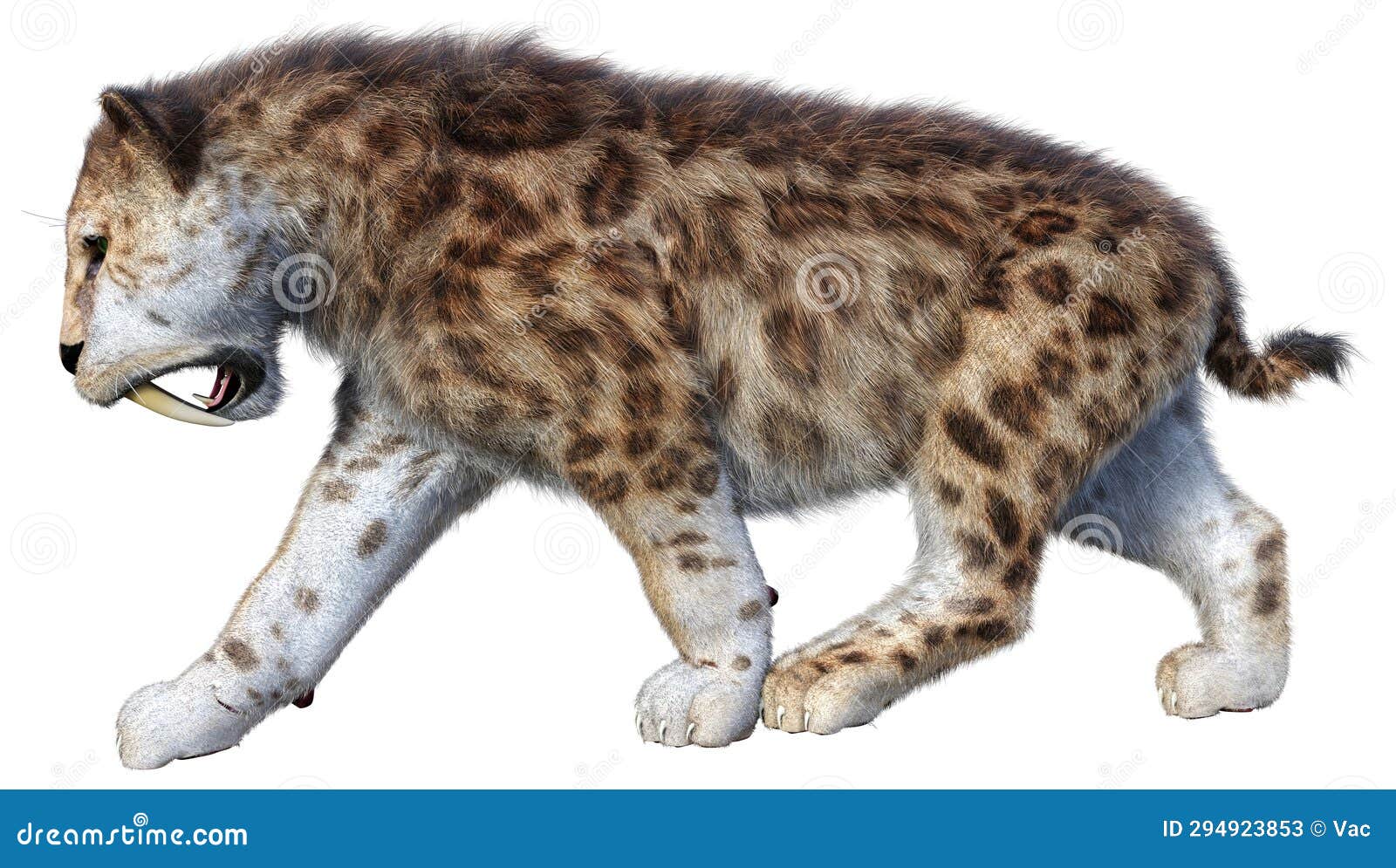 3D Rendering Sabertooth Tiger on White Stock Illustration ...
