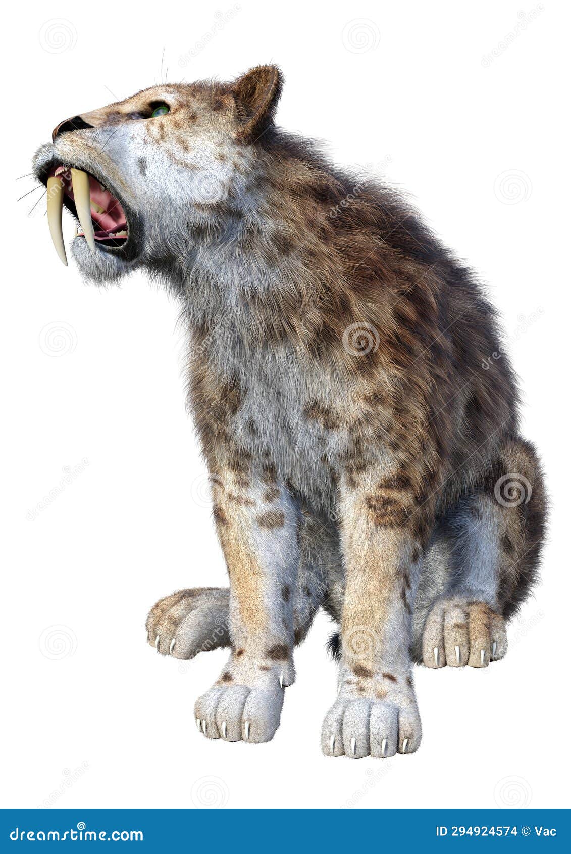 3D Rendering Sabertooth Tiger on White Stock Illustration ...