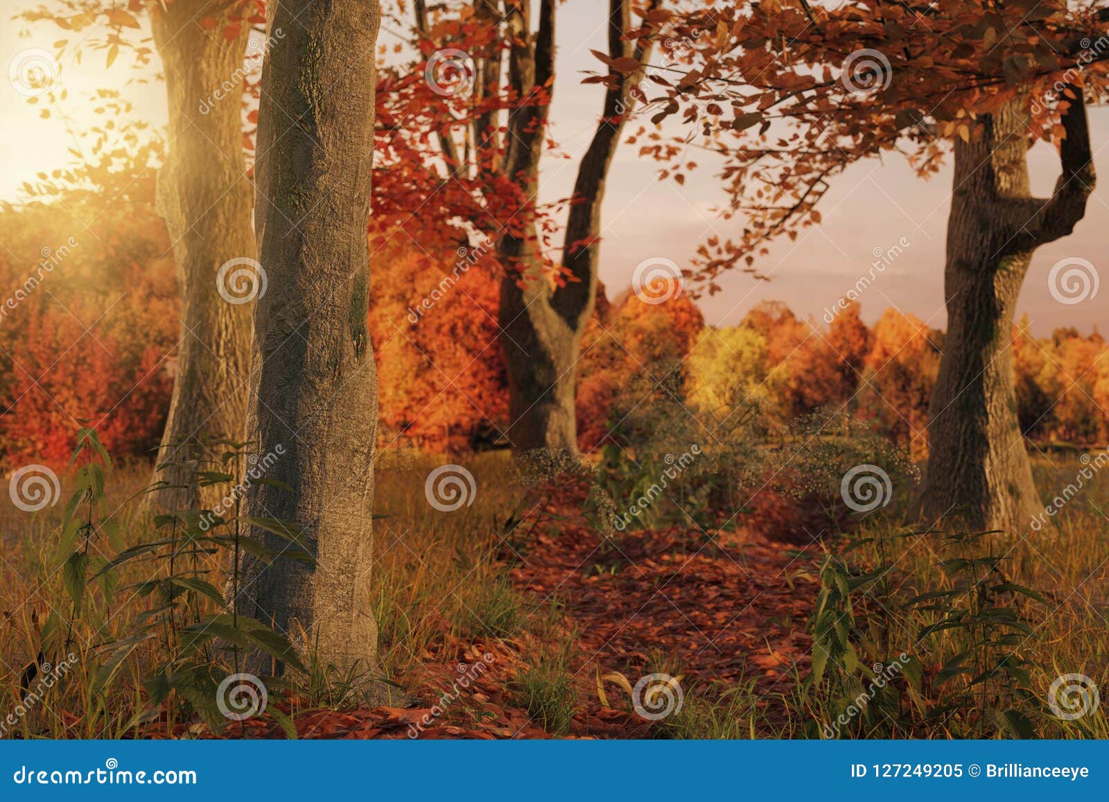 3d Rendering of Scenic Forest Pathway in the Autumn Season and E Stock ...