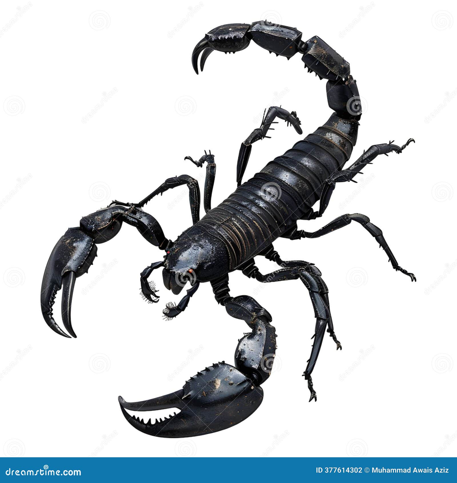 3D Rendering Of A Scorpions On Transparent Background - Ai Generated Stock Photo | CartoonDealer ...