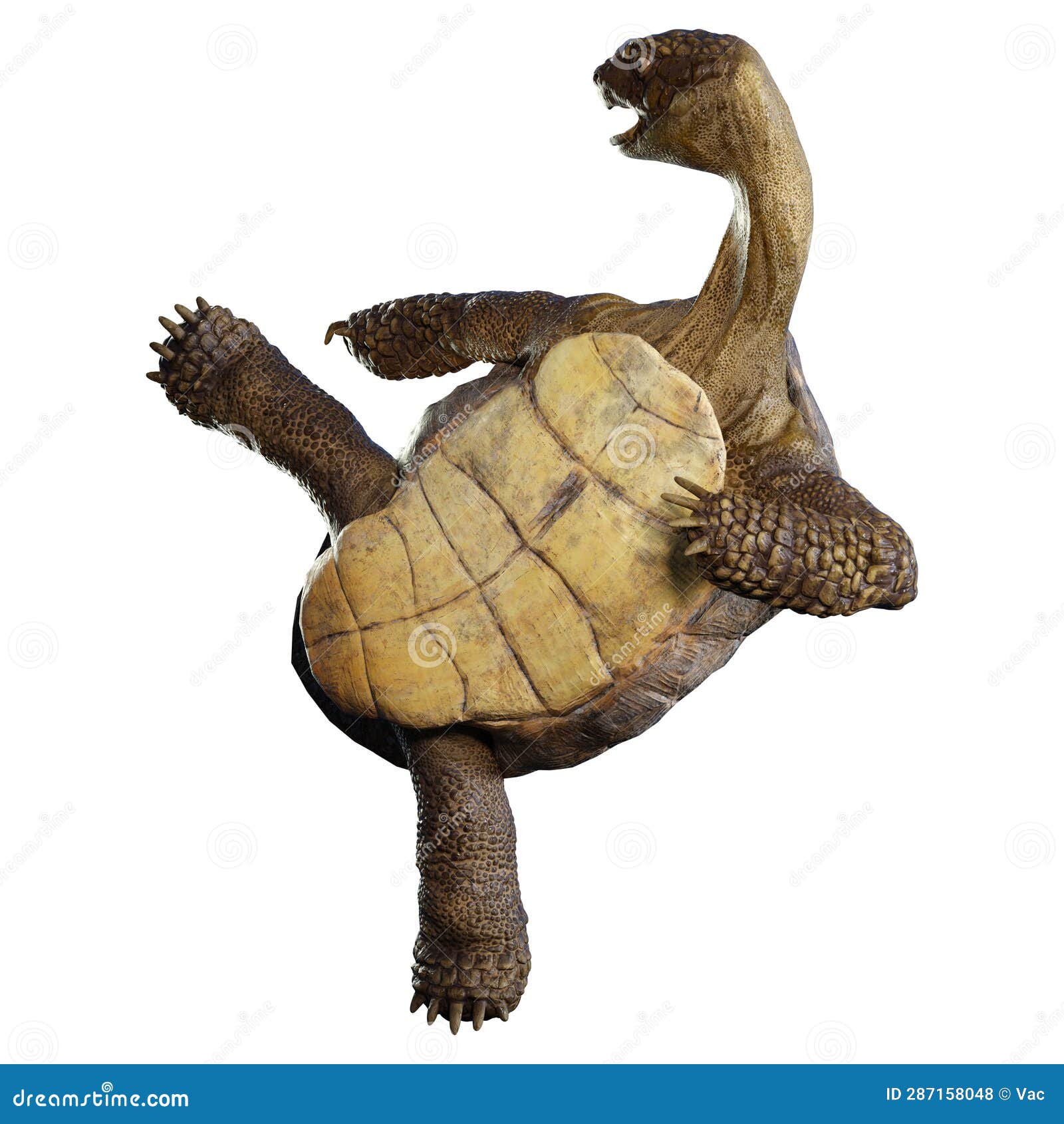 3D Rendering Sea Turtle on White Stock Illustration - Illustration of ...