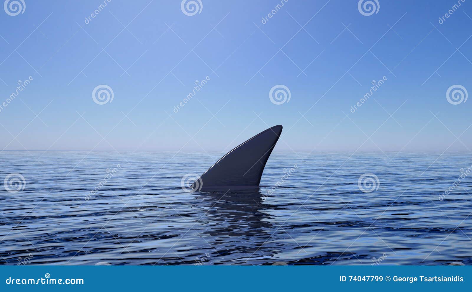 3D Rendering of Shark Fin Above Water Stock Illustration - Illustration ...