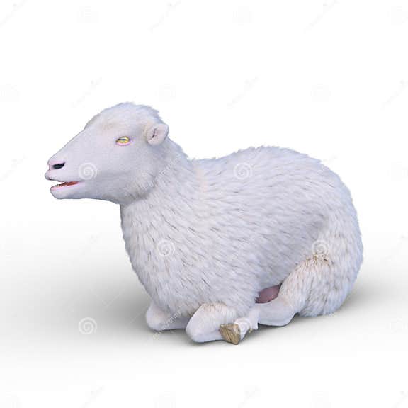 3D rendering of a sheep stock illustration. Illustration of farm ...