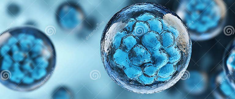 This 3D Rendering Shows the Structure and Activity of Immune Cells ...