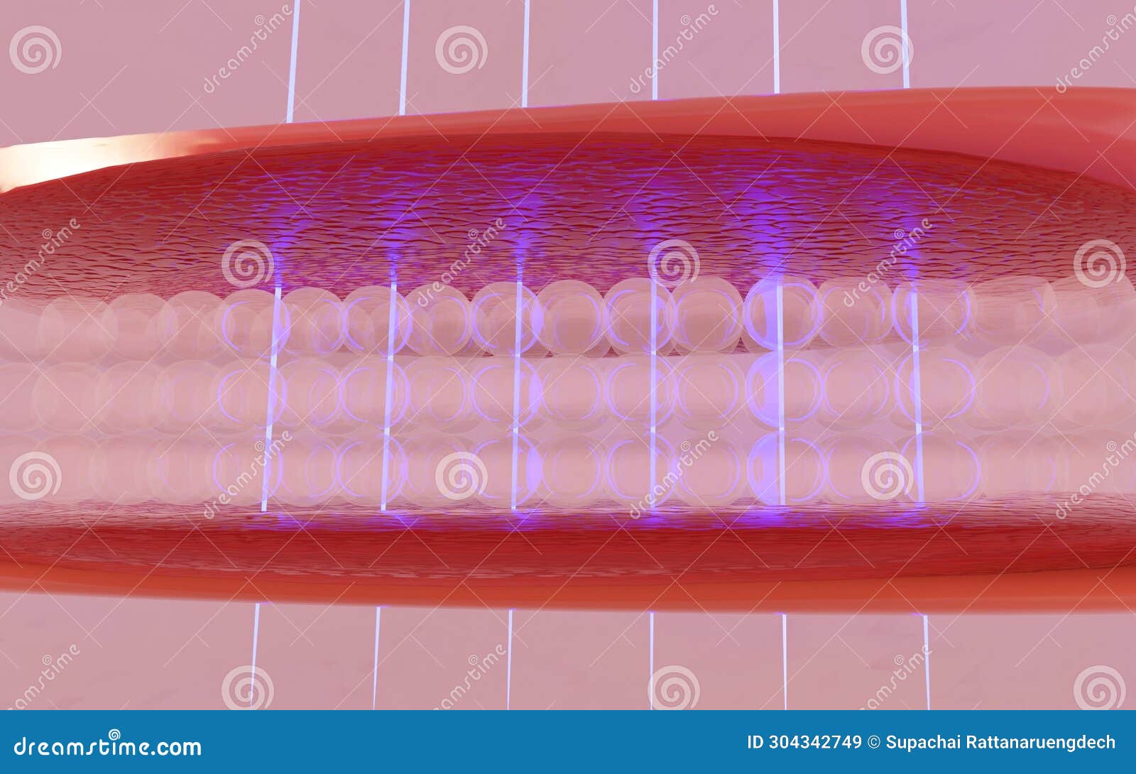 3D Rendering the Skin Structure Layer Microstructure Stock Illustration ...