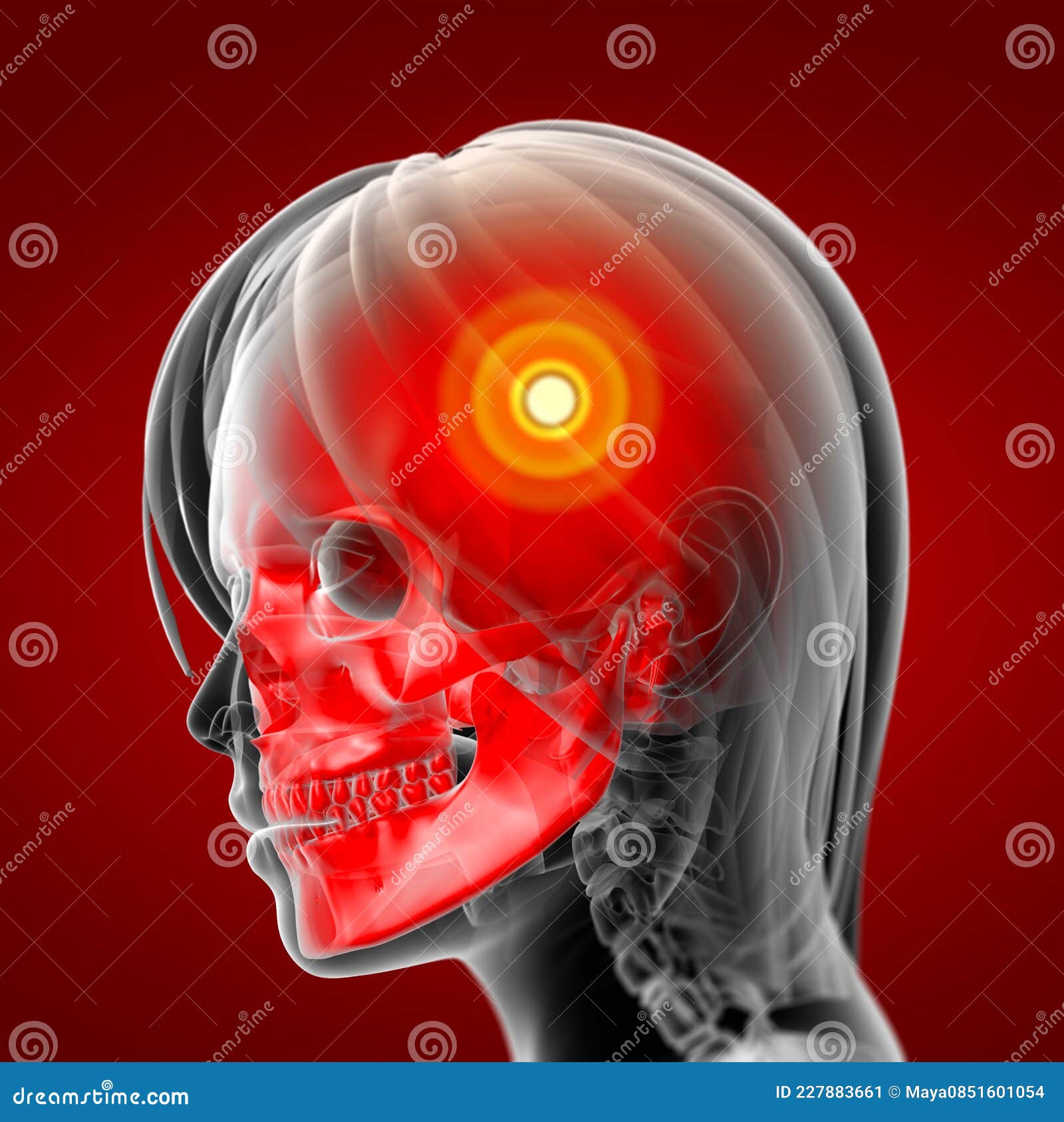 3D rendering of skull bone stock illustration. Illustration of parietal ...