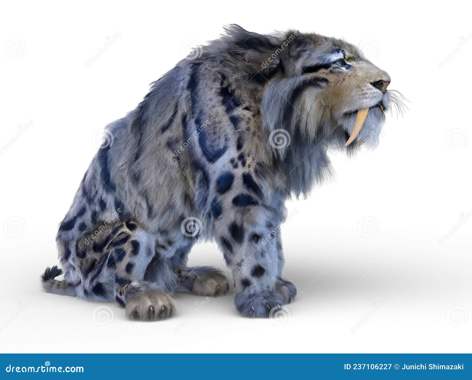3D Rendering Of A Smilodon Skeleton Or Saber Toothed Tiger A Genus Of ...