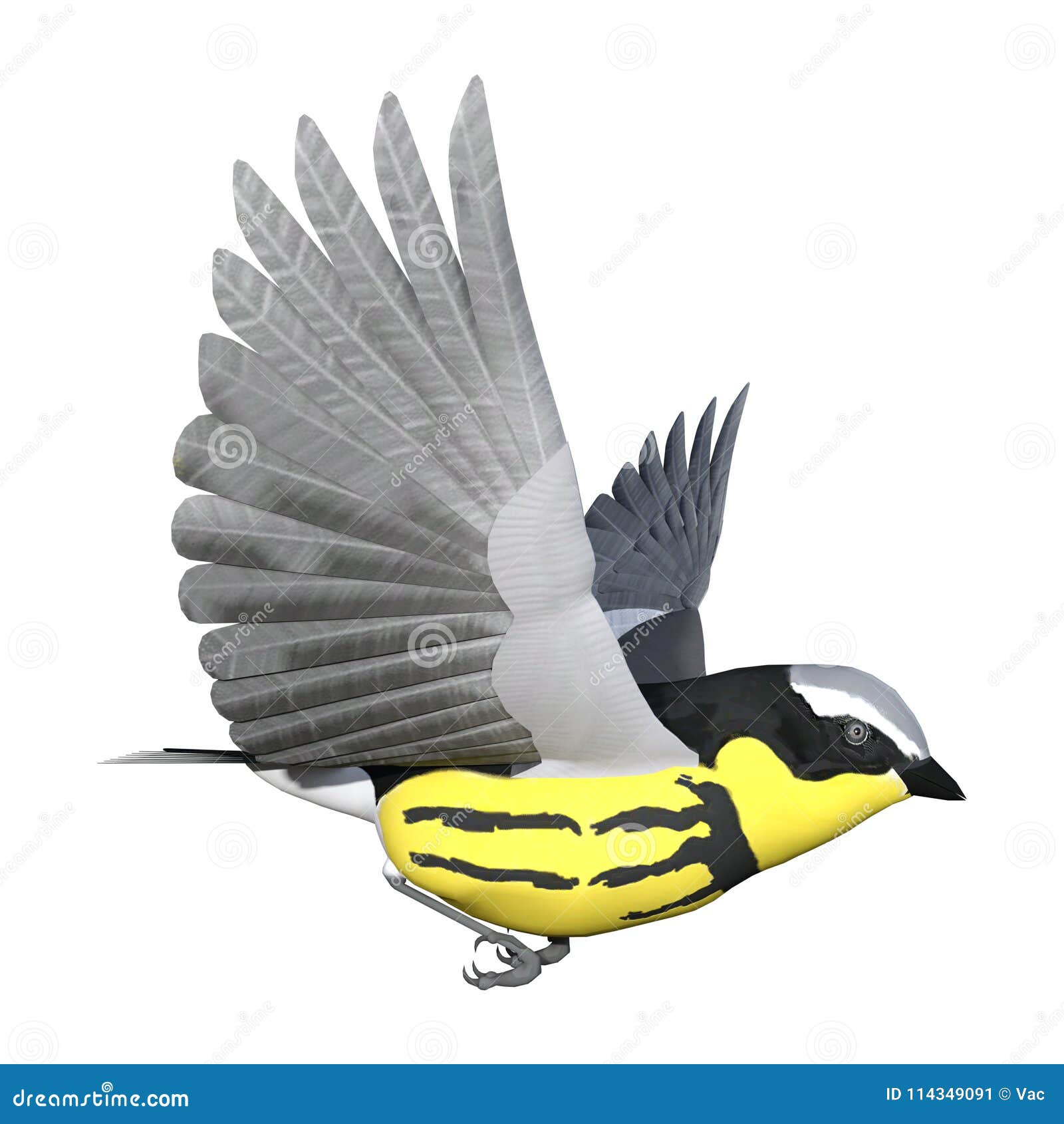 Songbird Cartoons, Illustrations & Vector Stock Images - 8414 Pictures ...