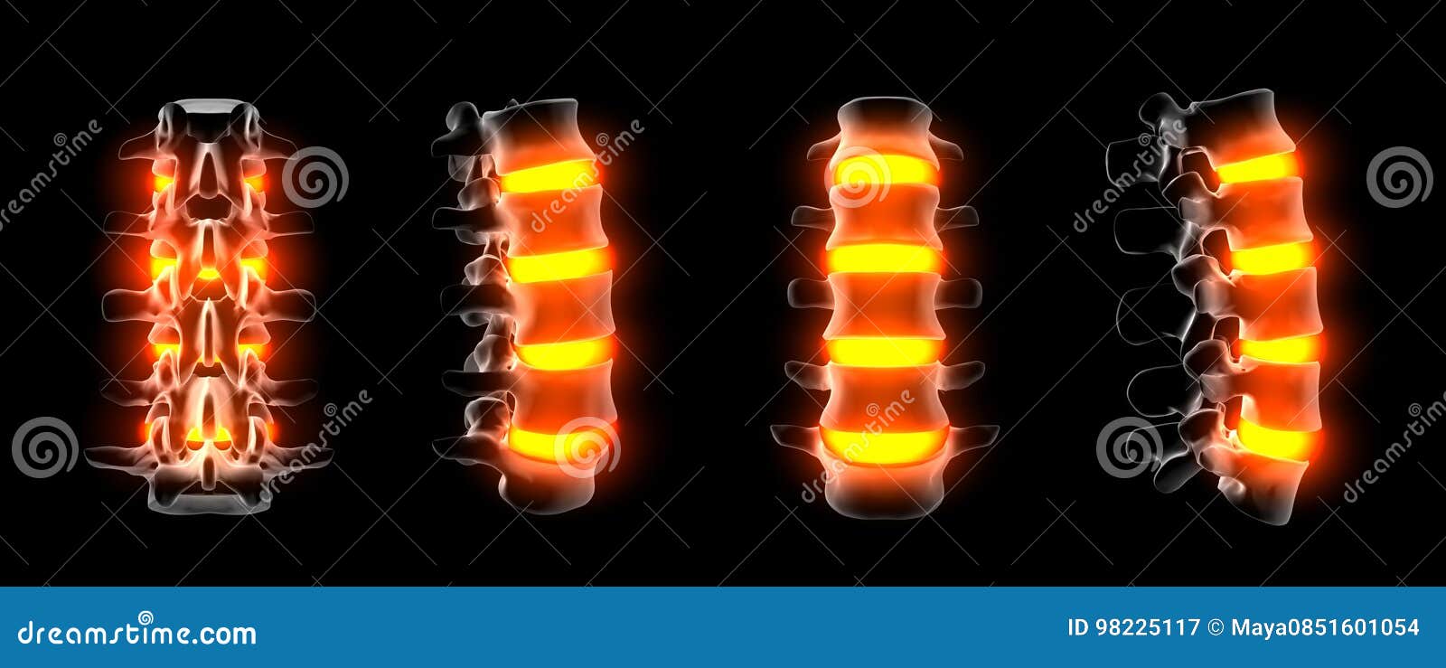 Spine Structure Icon Or Logo On Dark Background Vector Illustration ...