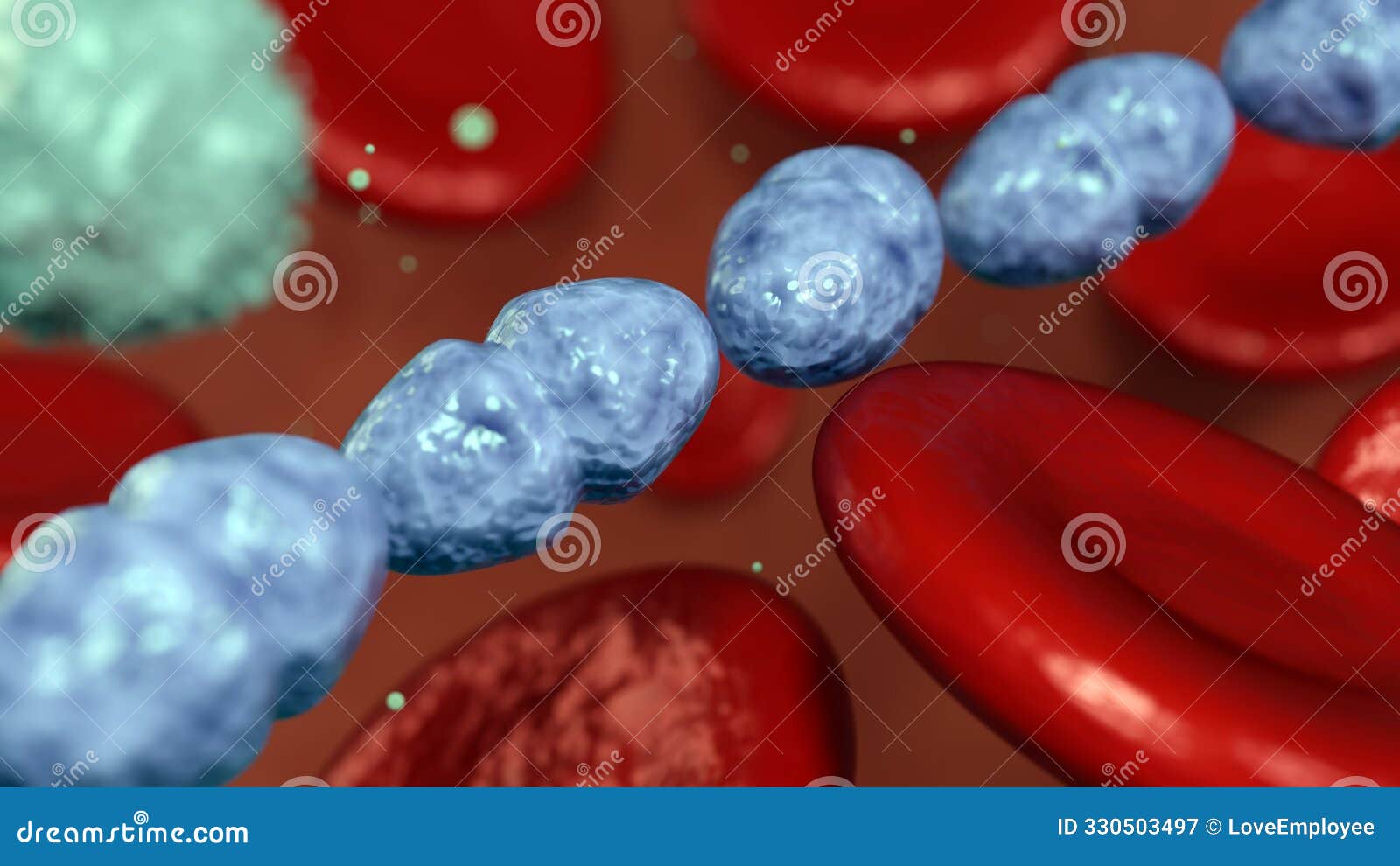 3d Rendering of Streptococcal Bacteria Inside of Blood Vessel Stock ...