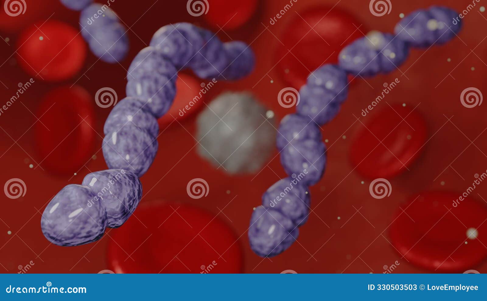 3d Rendering Of Streptococcal Bacteria Inside Of Blood Vessel Stock ...