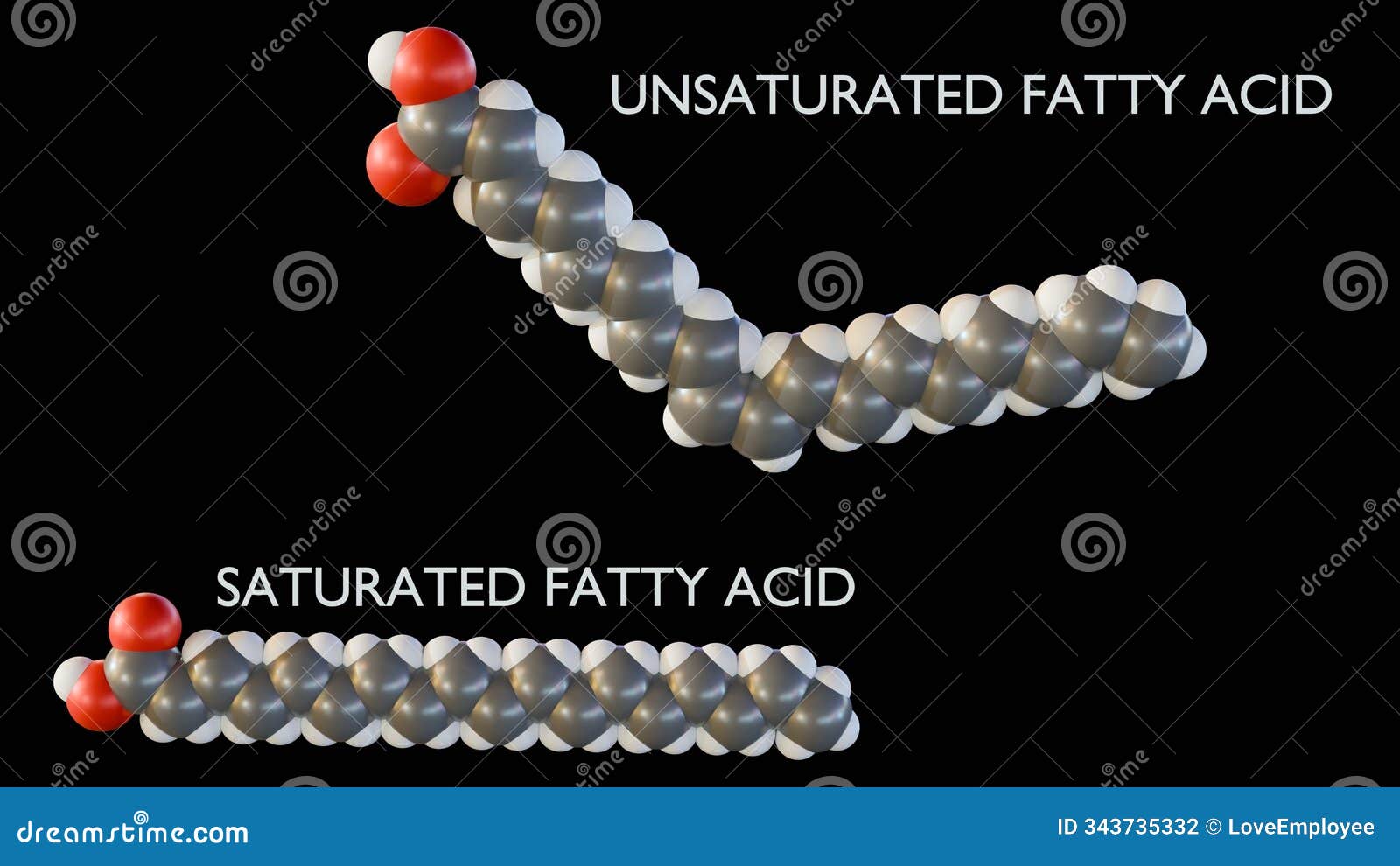 Saturated And Unsaturated Fatty Acids, Triglyceride, Triacylglycerol ... Saturated And Unsaturated Fatty Acids, Triglyceride, Triacylglycerol ...