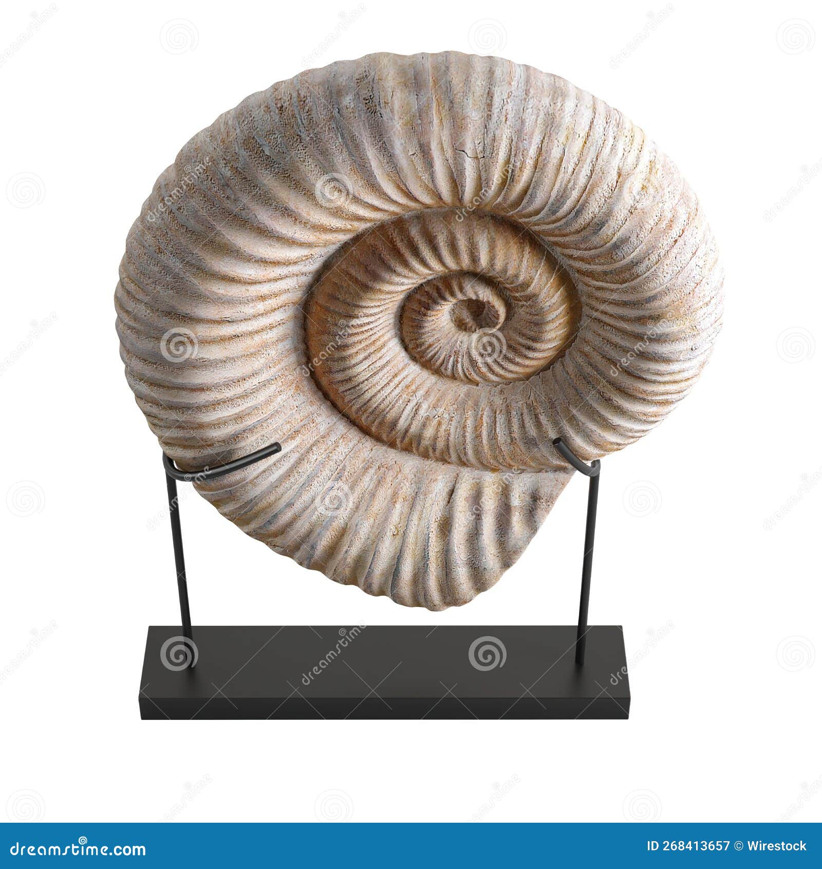 3D Rendering of a Swirl Shell Sculpture Isolated on a White Background ...